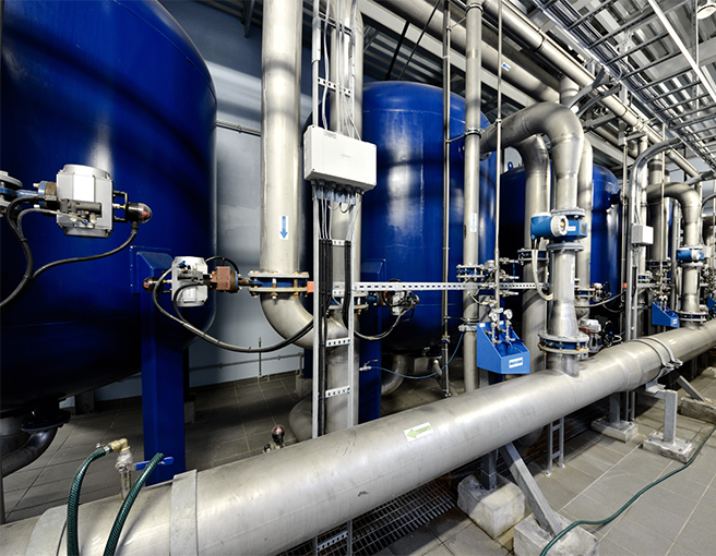 Life sciences - Reitz India