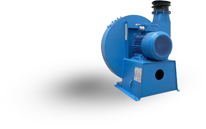 Life sciences - Reitz India